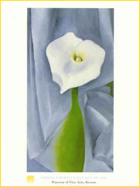 Georgia O'Keeffe, Joseph Canger Studio