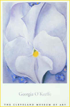 Georgia O'Keeffe, Joseph Canger Studio