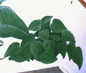 Mural, Joseph Canger Studio